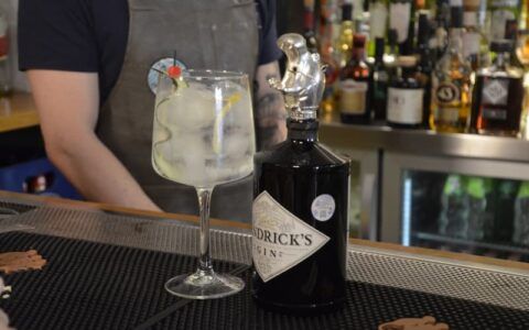 Hendrick's Gin: Una de las mejores ginebras - The Doctor Cocktail